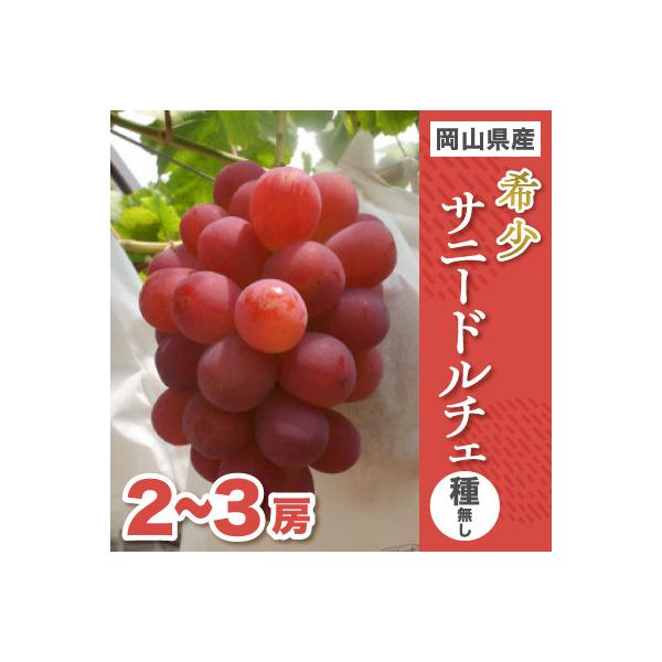 ■お礼品詳細　・配送種別：通常■お申し込み・配送・その他　・発送時期：2026-09-03〜2026-10-03（お届け時間帯指定可）　・申込受付期間：2025-11-01〜2026-09-05　・配達外のエリア：離島　・寄付証明書の送付時...