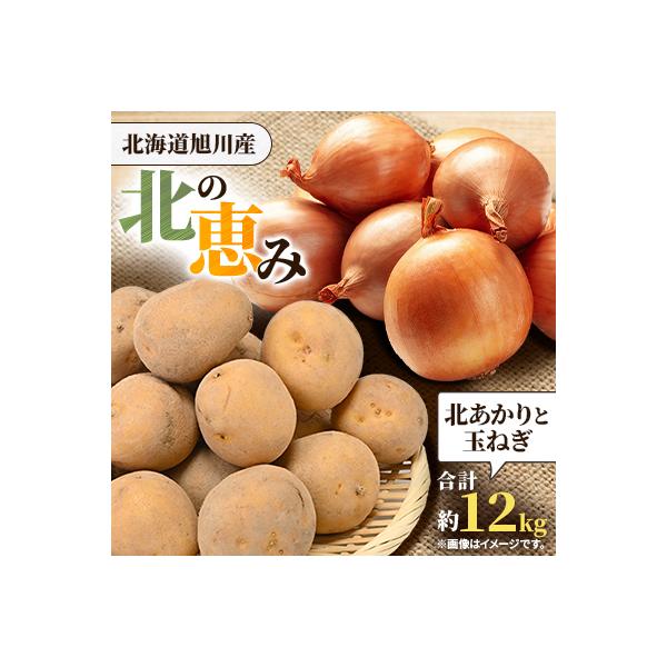 ■お礼品詳細　・配送種別：通常■お申し込み・配送・その他　・発送時期：2025-09-15〜2026-01-31（お届け時間帯指定可）　・申込受付期間：〜2026-01-12　・配達外のエリア：　・寄付証明書の送付時期目安：申し込み完了日か...