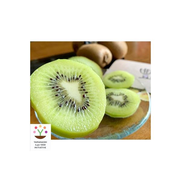 ■お礼品詳細■お申し込み・配送・その他　・発送時期：2025-12-15〜2026-04-15（お届け時間帯指定可）　・申込受付期間：〜2026-03-31　・配達外のエリア：　・寄付証明書の送付時期目安：申込完了日から２週間程度　・提供元...