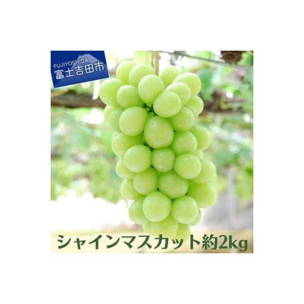 ■お礼品詳細　・配送方法：クール便(冷蔵)■お申し込み・配送・その他　・発送時期：2026-08-10〜2026-10-31（お届け時間帯指定可）　・申込受付期間：〜2026-08-31　・配達外のエリア：離島、沖縄県　・寄付証明書の送付時...