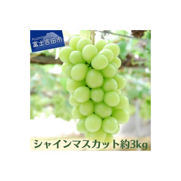 ■お礼品詳細　・配送種別：冷蔵便■お申し込み・配送・その他　・発送時期：2026-08-10〜2026-10-31（お届け時間帯指定可）　・申込受付期間：〜2026-08-31　・配達外のエリア：離島、沖縄県　・寄付証明書の送付時期目安：申...