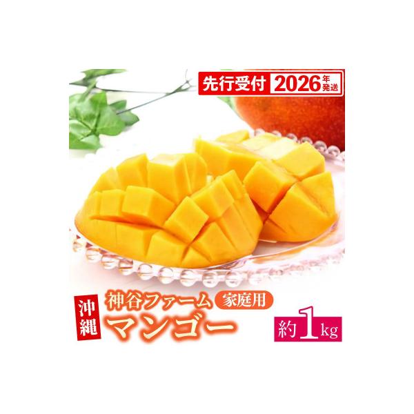 ■お礼品詳細　・配送種別：冷蔵便■お申し込み・配送・その他　・発送時期：2026-06-21〜2026-08-10（お届け時間帯指定可）　・申込受付期間：〜2026-08-05　・配達外のエリア：離島　・寄付証明書の送付時期目安：申込完了日...