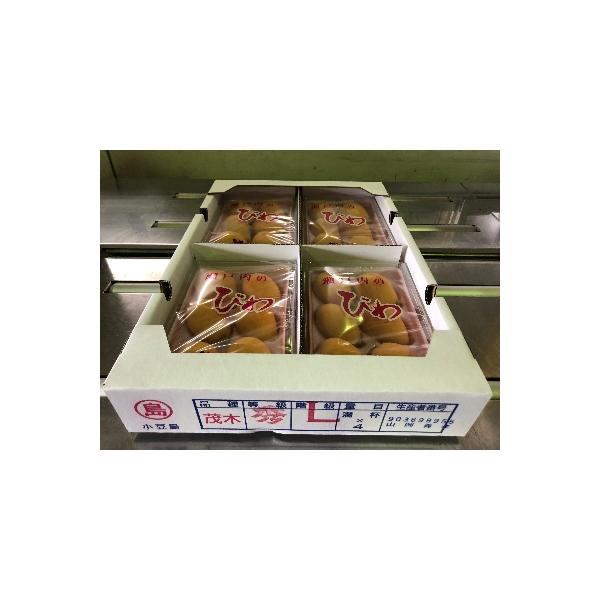 ■お礼品詳細　・配送種別：通常■お申し込み・配送・その他　・発送時期：2026-05-18〜2026-06-30　・申込受付期間：〜2026-05-31　・配達外のエリア：離島、北海道、沖縄県　・寄付証明書の送付時期目安：申込完了日から２〜...