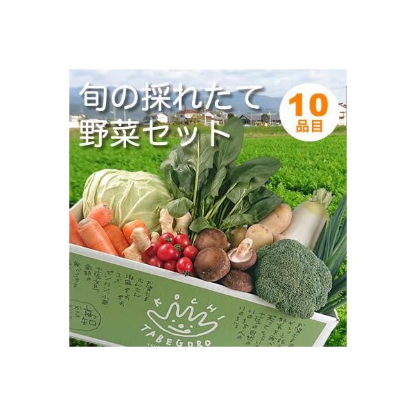 ■お礼品詳細　・配送種別：冷蔵便■お申し込み・配送・その他　・発送時期：2026-01-23より順次発送 ※生産・天候・交通等の事情により遅れる場合があります。（お届け時間帯指定可）　・申込受付期間：通年　・配達外のエリア：離島　・寄付証明...
