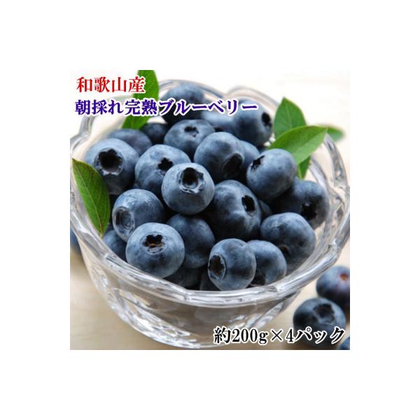 ■お礼品詳細　・配送種別：冷蔵便■お申し込み・配送・その他　・発送時期：2026-07-01〜2026-07-30（お届け時間帯指定可）　・申込受付期間：〜2026-07-16　・配達外のエリア：離島、北海道、沖縄県　・寄付証明書の送付時期...