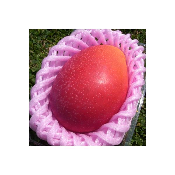 ■お礼品詳細　・配送種別：冷蔵便■お申し込み・配送・その他　・発送時期：2026-05-19〜2026-08-10（お届け時間帯指定可）　・申込受付期間：〜2026-07-22　・配達外のエリア：離島　・寄付証明書の送付時期目安：申込完了日...