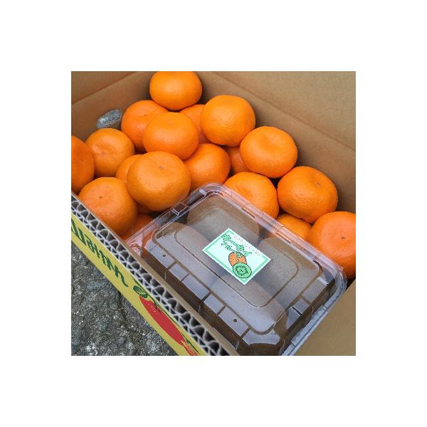 ■お礼品詳細　・配送種別：通常■お申し込み・配送・その他　・発送時期：2026-01-04〜2026-02-15（お届け時間帯指定可）　・申込受付期間：2025-05-07〜2026-02-10　・配達外のエリア：　・寄付証明書の送付時期目...