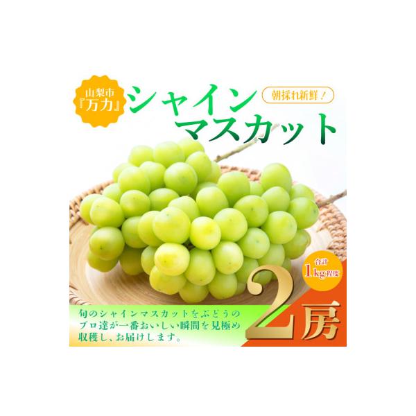 ■お礼品詳細　・配送種別：冷蔵便■お申し込み・配送・その他　・発送時期：2026-08-25〜2026-10-15（お届け時間帯指定可）　・申込受付期間：〜2026/10/01　・配達外のエリア：離島　・寄付証明書の送付時期目安：申込完了日...