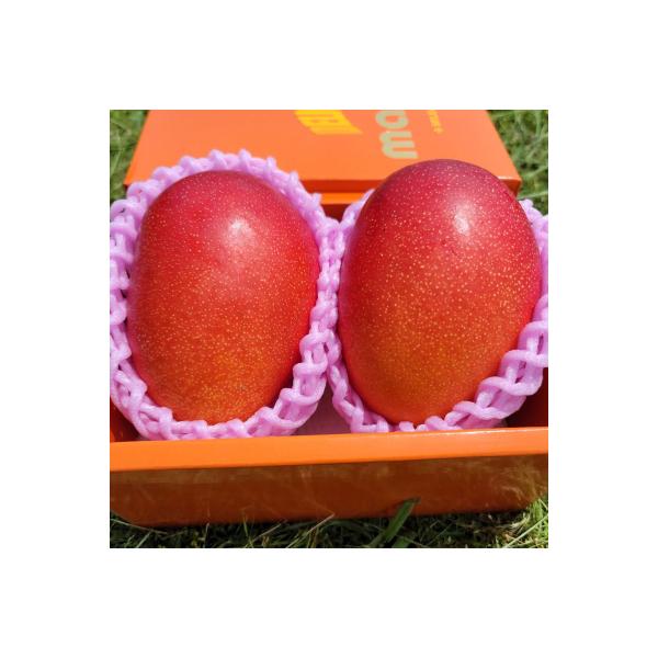 ■お礼品詳細　・配送種別：冷蔵便■お申し込み・配送・その他　・発送時期：2026-05-15〜2026-08-10（お届け時間帯指定可）　・申込受付期間：〜2026-07-22　・配達外のエリア：離島　・寄付証明書の送付時期目安：申込完了日...