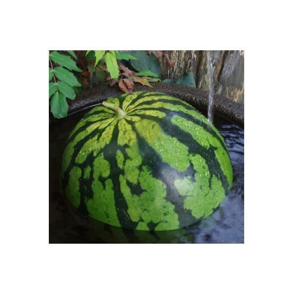 ■お礼品詳細　・配送種別：通常■お申し込み・配送・その他　・発送時期：2026-07-20〜2026-08-15（お届け時間帯指定可）　・申込受付期間：〜2026-08-03　・配達外のエリア：離島　・寄付証明書の送付時期目安：申込完了日か...