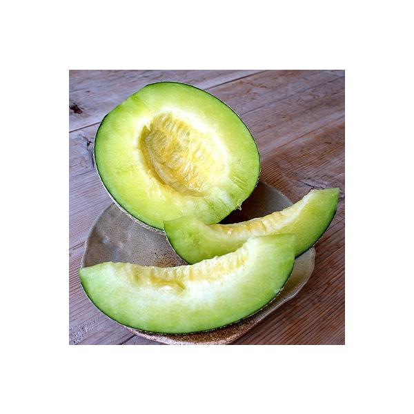 ■お礼品詳細　・配送種別：通常■お申し込み・配送・その他　・発送時期：2025-12-23より順次発送 ※生産・天候・交通等の事情により遅れる場合があります。（お届け時間帯指定可）　・申込受付期間：通年　・配達外のエリア：　・寄付証明書の送...