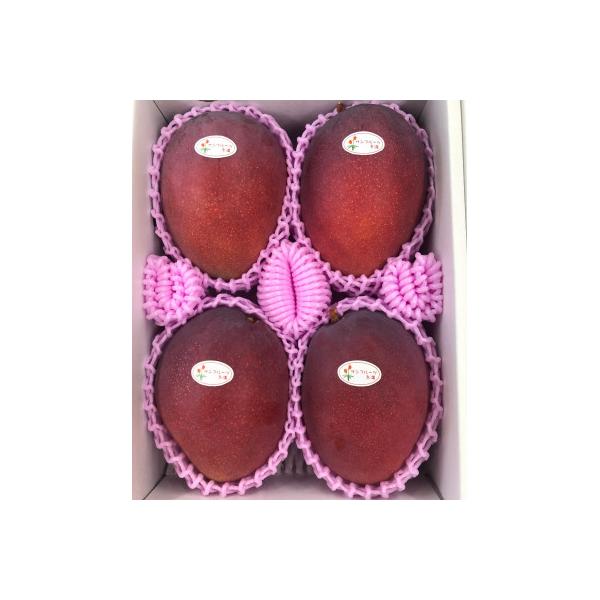 ■お礼品詳細　・配送種別：冷蔵便■お申し込み・配送・その他　・発送時期：2026-06-20〜2026-07-31（お届け時間帯指定可）　・申込受付期間：2025-07-26〜2026-07-10　・配達外のエリア：離島　・寄付証明書の送付...