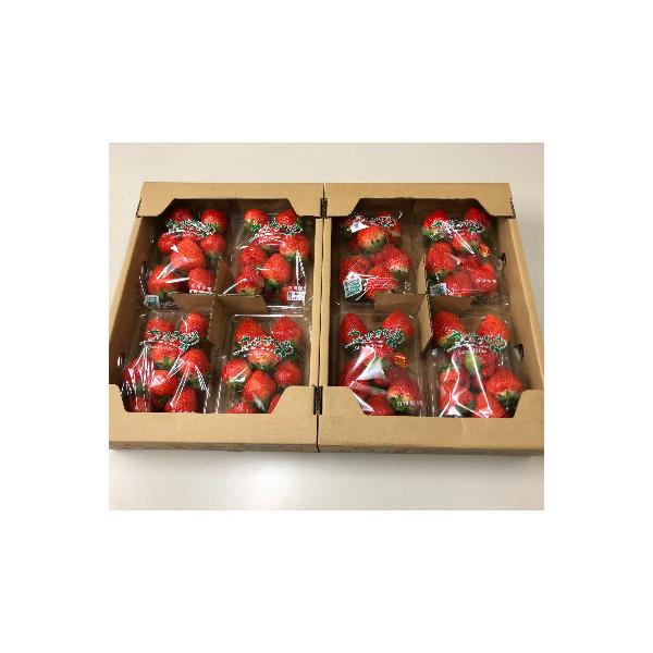 ■お礼品詳細　・配送種別：冷蔵便■お申し込み・配送・その他　・発送時期：2026-02-02〜2026-06-20　・申込受付期間：〜2026-05-31　・配達外のエリア：離島、北海道、沖縄県、東北、関東、信越、北陸、九州　・寄付証明書の...