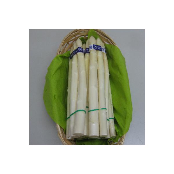 ■お礼品詳細　・配送種別：冷蔵便■お申し込み・配送・その他　・発送時期：2026-03-05〜2026-10-31　・申込受付期間：〜2026-10-02　・配達外のエリア：離島　・寄付証明書の送付時期目安：申込完了日から１〜2週間程度　・...