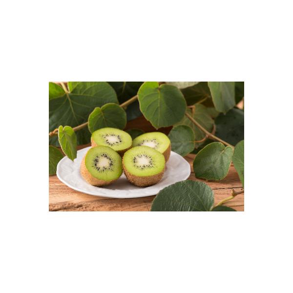 ■お礼品詳細　・配送種別：通常■お申し込み・配送・その他　・発送時期：2025-12-01〜2026-06-10※生産状況によりタイミングがずれる場合がございます（お届け時間帯指定可）　・申込受付期間：2025-11-20〜2026-05-...