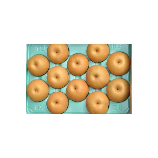 ■お礼品詳細　・配送種別：通常■お申し込み・配送・その他　・発送時期：2026-09-28〜2026-10-27（お届け時間帯指定可）　・申込受付期間：〜2026-09-28　・配達外のエリア：離島　・寄付証明書の送付時期目安：申込完了日か...