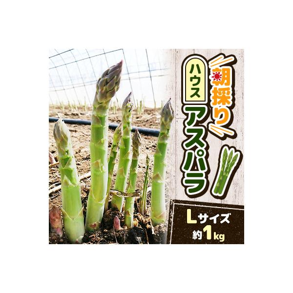 ■お礼品詳細　・配送種別：冷蔵便■お申し込み・配送・その他　・発送時期：2026-04-05〜2026-05-15（お届け時間帯指定可）　・申込受付期間：〜2026-03-31　・配達外のエリア：離島　・寄付証明書の送付時期目安：申込完了日...