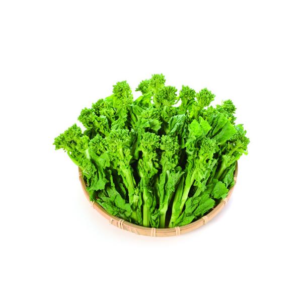 ■お礼品詳細　・配送種別：冷蔵便■お申し込み・配送・その他　・発送時期：2025-12-10〜2026-03-20（お届け時間帯指定可）　・申込受付期間：〜2026-03-06　・配達外のエリア：離島　・寄付証明書の送付時期目安：申込完了日...