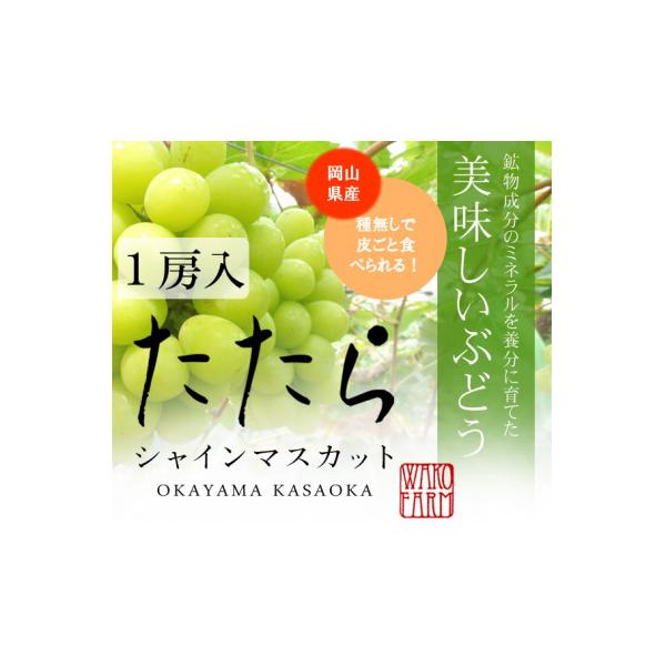 ■お礼品詳細　・配送種別：通常■お申し込み・配送・その他　・発送時期：2026-08-31〜2026-10-23（お届け時間帯指定可）　・申込受付期間：2025-11-15〜2026-10-12　・配達外のエリア：離島、北海道、沖縄県　・寄...