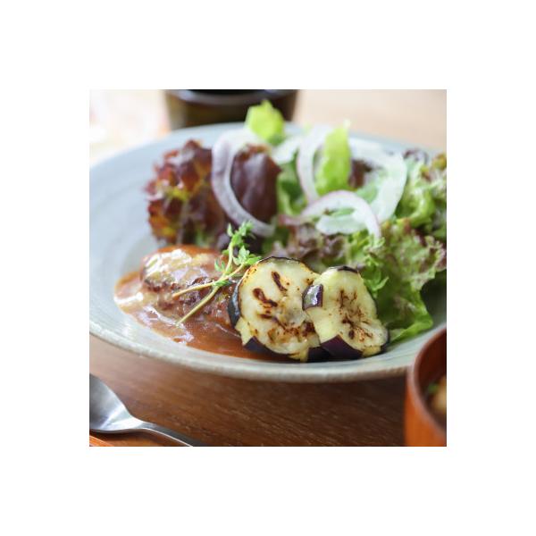 ■お礼品詳細　・配送種別：通常■お申し込み・配送・その他　・発送時期：お申し込み後1週間程度で順次発送予定（お届け時間帯指定可）　・申込受付期間：通年　・配達外のエリア：離島、沖縄県　・寄付証明書の送付時期目安：申込完了日から２週間程度　・...