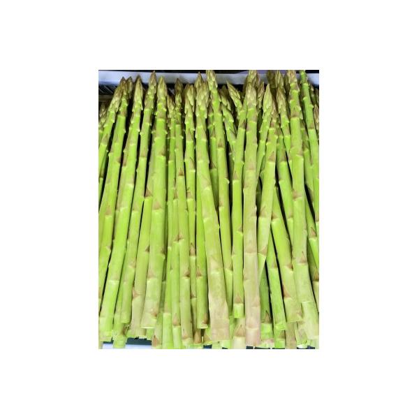 ■お礼品詳細　・配送種別：冷蔵便■お申し込み・配送・その他　・発送時期：2026-02-16〜2026-05-20（お届け時間帯指定可）　・申込受付期間：〜2026-05-11　・配達外のエリア：離島　・寄付証明書の送付時期目安：申込完了日...