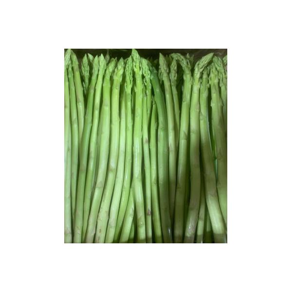 ■お礼品詳細　・配送種別：冷蔵便■お申し込み・配送・その他　・発送時期：2026-06-09〜2026-10-09（お届け時間帯指定可）　・申込受付期間：〜2026-09-25　・配達外のエリア：離島　・寄付証明書の送付時期目安：申込完了日...