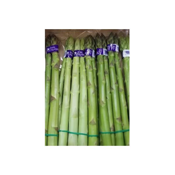 ■お礼品詳細　・配送種別：冷蔵便■お申し込み・配送・その他　・発送時期：2026-03-05〜2026-09-29（お届け時間帯指定可）　・申込受付期間：〜2026-09-10　・配達外のエリア：離島　・寄付証明書の送付時期目安：申込完了日...