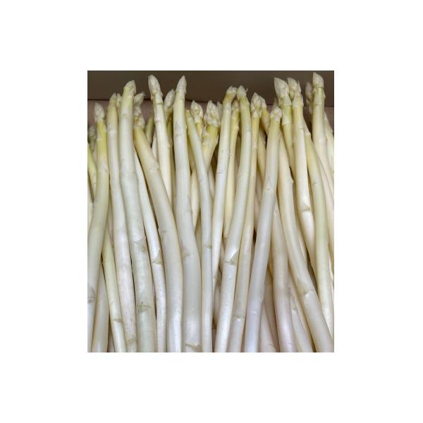 ■お礼品詳細　・配送種別：冷蔵便■お申し込み・配送・その他　・発送時期：2026-05-11〜2026-09-29（お届け時間帯指定可）　・申込受付期間：〜2026-09-10　・配達外のエリア：離島　・寄付証明書の送付時期目安：申込完了日...