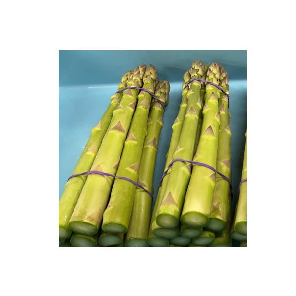 ■お礼品詳細　・配送種別：冷蔵便■お申し込み・配送・その他　・発送時期：2026-03-25〜2026-08-10（お届け時間帯指定可）　・申込受付期間：2025-06-01〜2026-02-28　・配達外のエリア：離島　・寄付証明書の送付...