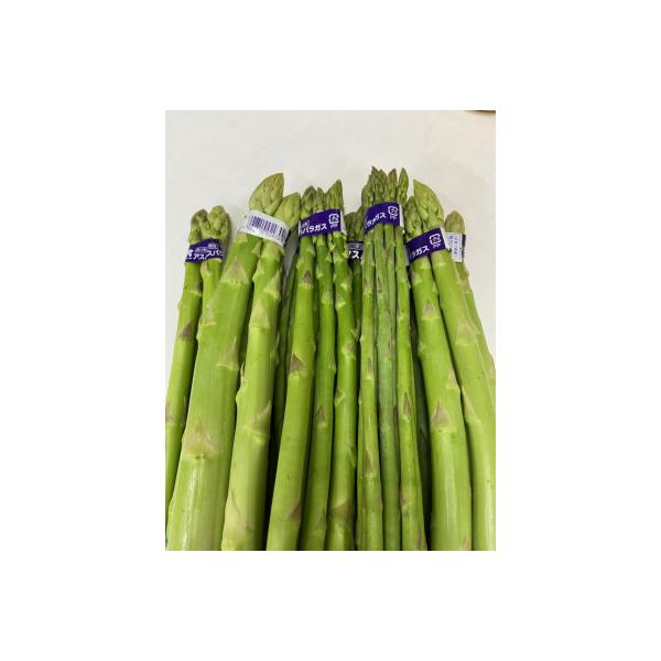 ■お礼品詳細　・配送種別：冷蔵便■お申し込み・配送・その他　・発送時期：2026-06-20〜2026-10-24　・申込受付期間：〜2026-09-27　・配達外のエリア：離島、北海道、沖縄県　・寄付証明書の送付時期目安：申込完了日から２...