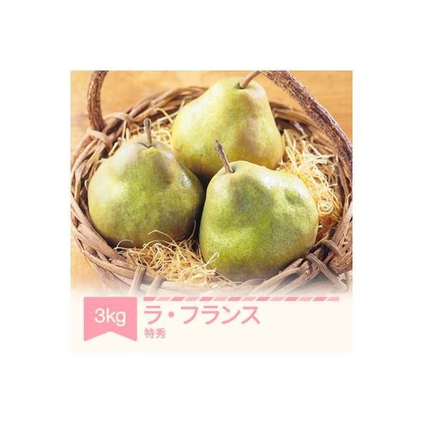 ■お礼品詳細　・配送種別：通常■お申し込み・配送・その他　・発送時期：2025-10-27〜2026-01-30（お届け時間帯指定可）　・申込受付期間：〜2025-12-31　・配達外のエリア：離島、沖縄県　・寄付証明書の送付時期目安：申込...