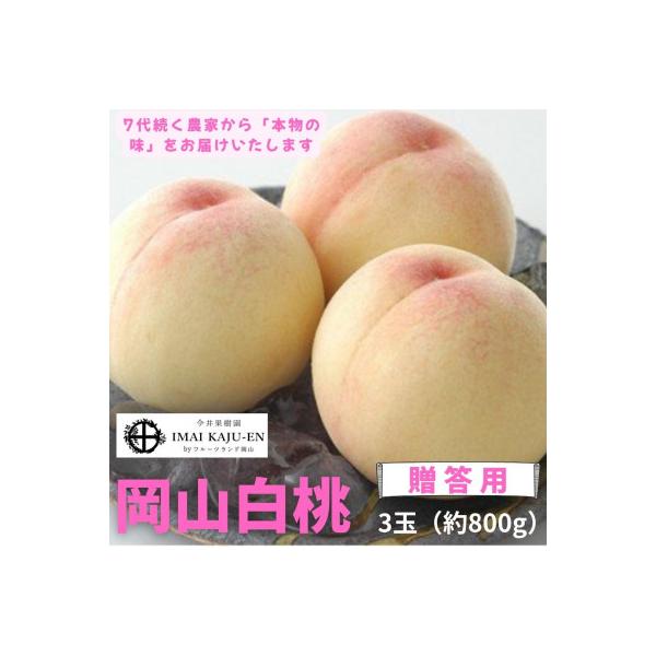 ■お礼品詳細　・配送種別：冷蔵便■お申し込み・配送・その他　・発送時期：2026-07-01〜2026-07-31（お届け時間帯指定可）　・申込受付期間：〜2026-07-20　・配達外のエリア：離島、北海道、沖縄県　・寄付証明書の送付時期...