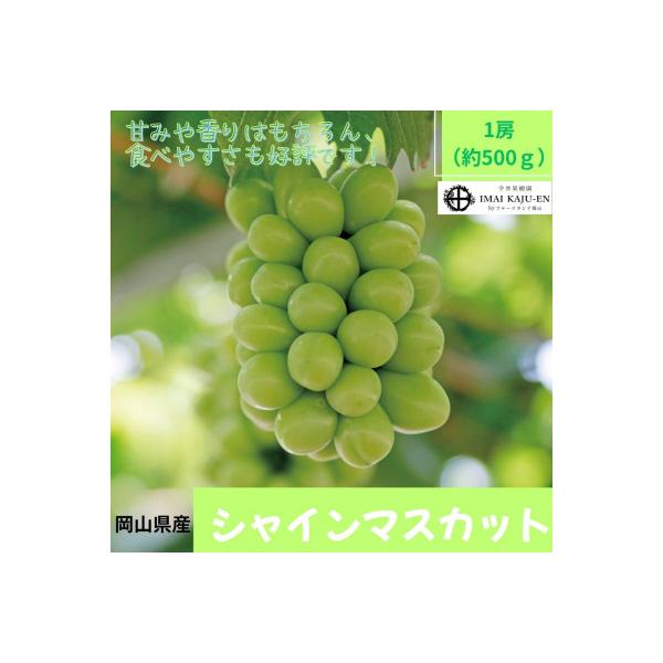 ■お礼品詳細　・配送種別：冷蔵便■お申し込み・配送・その他　・発送時期：2026-08-21〜2026-09-30（お届け時間帯指定可）　・申込受付期間：〜2026-09-16　・配達外のエリア：離島、北海道、沖縄県　・寄付証明書の送付時期...
