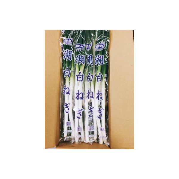 ■お礼品詳細　・配送種別：冷蔵便■お申し込み・配送・その他　・発送時期：2025-04-21〜2026-04-30（お届け時間帯指定可）　・申込受付期間：〜2026-04-10　・配達外のエリア：離島　・寄付証明書の送付時期目安：申込完了日...