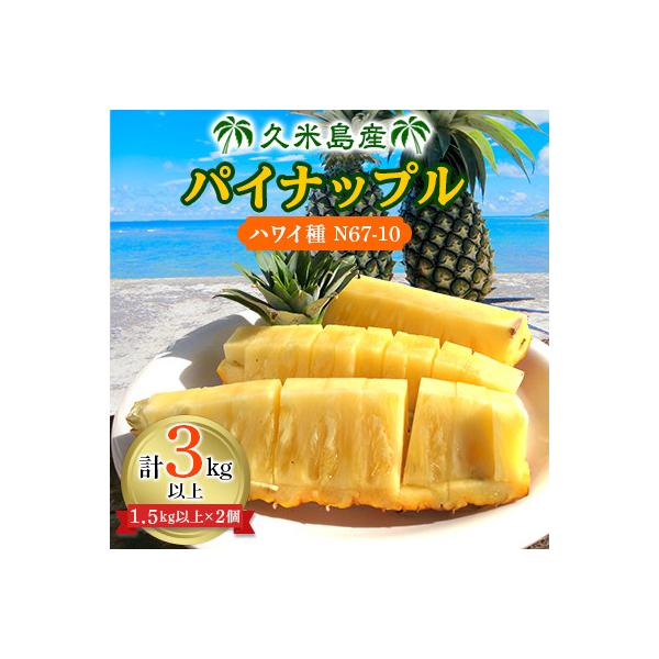 ■お礼品詳細　・配送種別：冷蔵便■お申し込み・配送・その他　・発送時期：2026-07-01〜2026-08-31（お届け時間帯指定可）　・申込受付期間：〜2026-06-30　・配達外のエリア：離島　・寄付証明書の送付時期目安：申込完了日...