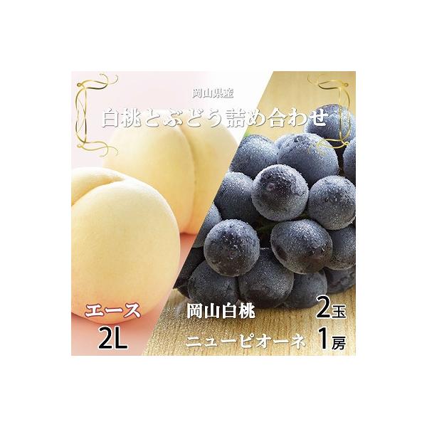 ■お礼品詳細　・配送種別：冷蔵便■お申し込み・配送・その他　・発送時期：2026-07-01〜2026-08-31（お届け時間帯指定可）　・申込受付期間：〜2026-07-31　・配達外のエリア：離島、北海道、沖縄県　・寄付証明書の送付時期...