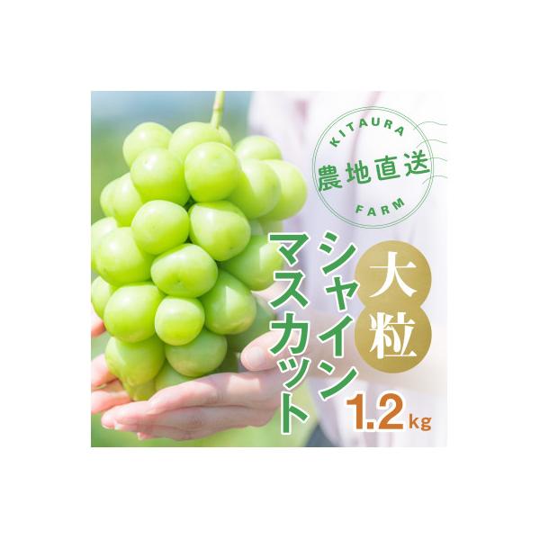 ■お礼品詳細　・配送種別：通常■お申し込み・配送・その他　・発送時期：2026-09-01〜2026-09-30（お届け時間帯指定可）　・申込受付期間：〜2026-08-31　・配達外のエリア：離島、北海道、沖縄県、四国、九州　・寄付証明書...