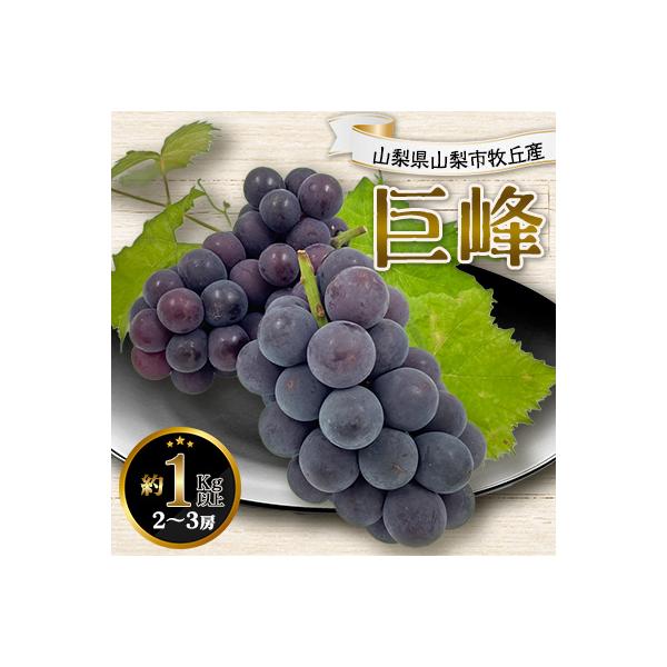 ■お礼品詳細　・配送種別：冷蔵便■お申し込み・配送・その他　・発送時期：2026-08-15〜2026-10-31（お届け時間帯指定可）　・申込受付期間：〜2026-09-30　・配達外のエリア：離島　・寄付証明書の送付時期目安：申込完了日...