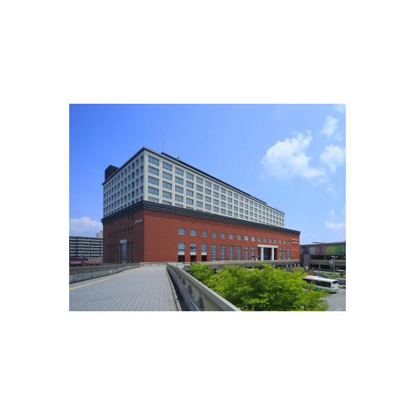 ■お礼品詳細　・配送種別：通常■お申し込み・配送・その他　・発送時期：2026-01-10より順次発送 ※生産・天候・交通等の事情により遅れる場合があります。（お届け時間帯指定可）　・申込受付期間：〜2025-12-31　・配達外のエリア：...