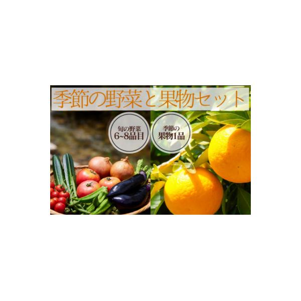 ■お礼品詳細　・配送種別：冷蔵便■お申し込み・配送・その他　・発送時期：2026-01-20より順次発送 ※生産・天候・交通等の事情により遅れる場合があります。（お届け時間帯指定可）　・申込受付期間：通年　・配達外のエリア：離島　・寄付証明...