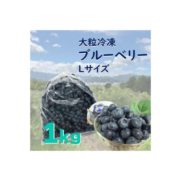 ■お礼品詳細　・配送種別：冷凍便■お申し込み・配送・その他　・発送時期：2026-01-05より順次発送 ※生産・天候・交通等の事情により遅れる場合があります。（お届け時間帯指定可）　・申込受付期間：通年　・配達外のエリア：離島　・寄付証明...