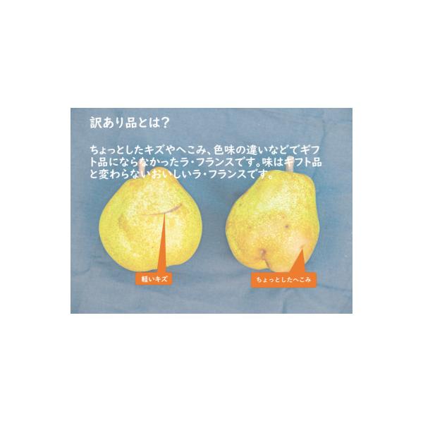 ■お礼品詳細　・配送種別：通常■お申し込み・配送・その他　・発送時期：2025-10-30〜2026-01-08（お届け時間帯指定可）　・申込受付期間：〜2026-01-03　・配達外のエリア：離島、沖縄県　・寄付証明書の送付時期目安：申込...