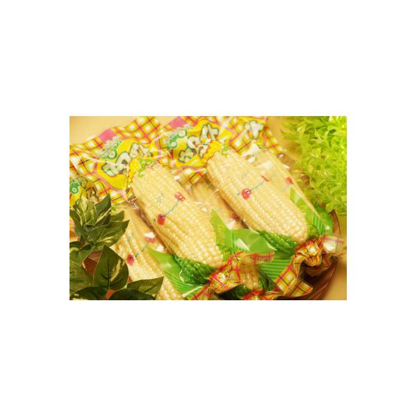 ■お礼品詳細　・配送種別：通常■お申し込み・配送・その他　・発送時期：2026-01-19〜2026-04-20（お届け時間帯指定可）　・申込受付期間：〜2026-03-31迄　・配達外のエリア：　・寄付証明書の送付時期目安：申込完了日から...