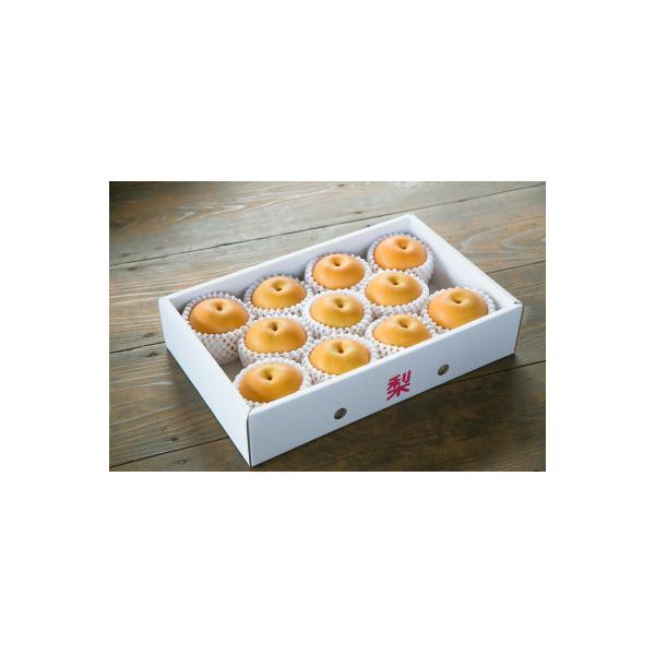 ■お礼品詳細　・配送種別：冷蔵便■お申し込み・配送・その他　・発送時期：2026-08-14〜2026-09-30（お届け時間帯指定可）　・申込受付期間：2026-01-10〜2026-08-31　・配達外のエリア：離島、北海道、沖縄県　・...