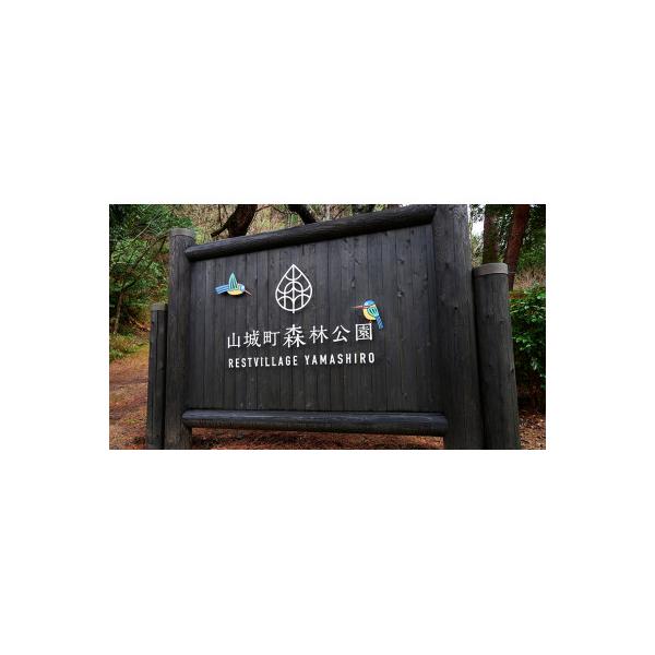 ■お礼品詳細　・配送種別：通常■お申し込み・配送・その他　・発送時期：お申込みから1週間程度で順次発送予定（お届け時間帯指定可）　・申込受付期間：通年　・配達外のエリア：　・寄付証明書の送付時期目安：申込完了日から２週間程度　・提供元：山城...