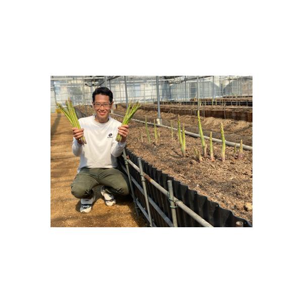 ■お礼品詳細　・配送種別：冷蔵便■お申し込み・配送・その他　・発送時期：2026-02-23〜2026-06-16（お届け時間帯指定可）　・申込受付期間：2025-10-01〜2026-06-01　・配達外のエリア：離島、北海道、沖縄県　・...