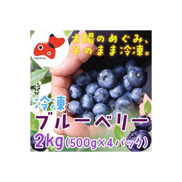■お礼品詳細　・配送種別：冷凍便■お申し込み・配送・その他　・発送時期：2026-01-13より順次発送 ※生産・天候・交通等の事情により遅れる場合があります。（お届け時間帯指定可）　・申込受付期間：通年　・配達外のエリア：離島　・寄付証明...