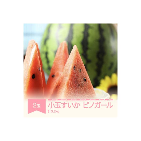 ■お礼品詳細　・配送種別：通常■お申し込み・配送・その他　・発送時期：2026-07-13〜2026-08-07（お届け時間帯指定可）　・申込受付期間：2025-11-19〜2026-06-30　・配達外のエリア：離島、沖縄県　・寄付証明書...