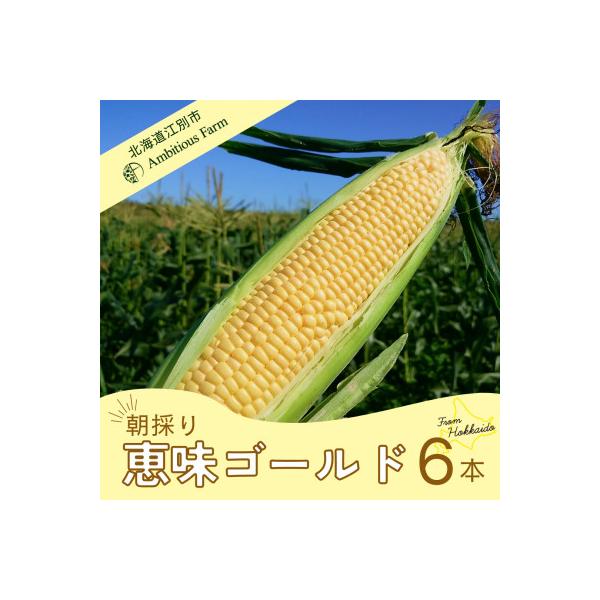 ■お礼品詳細　・配送種別：冷蔵便■お申し込み・配送・その他　・発送時期：2026-07-27〜2026-08-31（お届け時間帯指定可）　・申込受付期間：2025-11-24〜2026-07-27　・配達外のエリア：離島　・寄付証明書の送付...