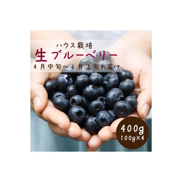 ■お礼品詳細　・配送種別：冷蔵便■お申し込み・配送・その他　・発送時期：2026-04-15〜2026-05-31（お届け時間帯指定可）　・申込受付期間：〜2026-05-15　・配達外のエリア：離島、北海道、沖縄県、四国、九州　・寄付証明...